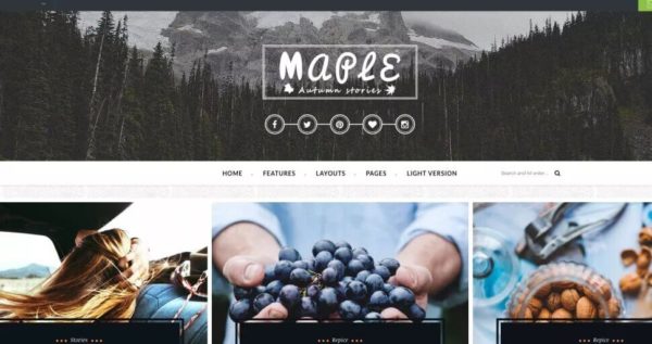 Top 15 Web Application Templates with Perfect Design in 2024 [Update]
