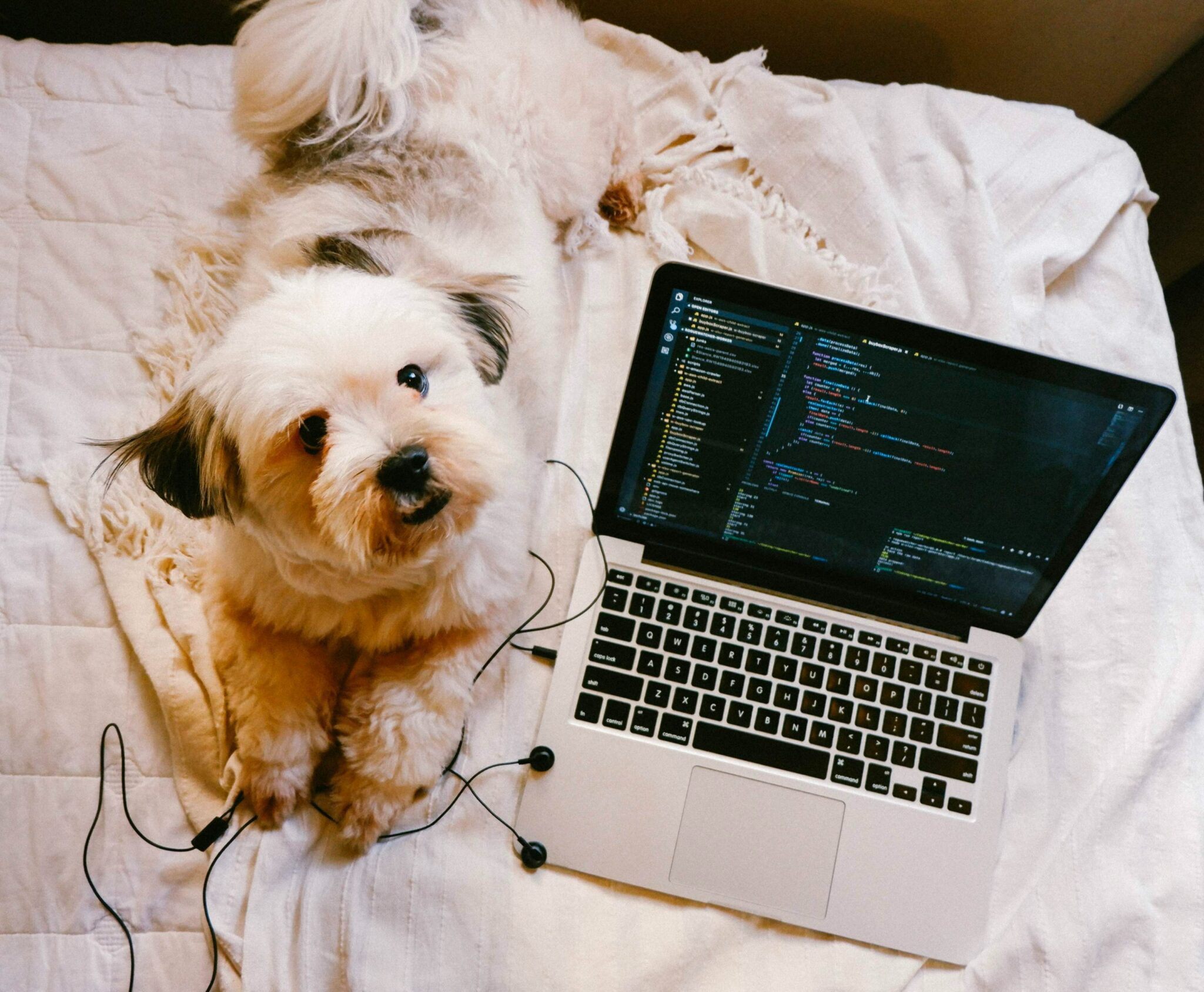 10 Best Ides For Reactjs In 2023 Update Flatlogic Blog